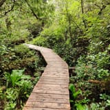 Sand Point Trail, Washington - 259 Reviews, Map | AllTrails