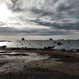 Sand Point Trail, Washington - 271 Reviews, Map | AllTrails