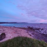 Sand Point Trail, Washington - 271 Reviews, Map | AllTrails