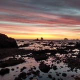 Sand Point Trail, Washington - 271 Reviews, Map | AllTrails