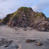 Sand Point Trail, Washington - 271 Reviews, Map | AllTrails