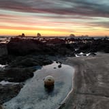 Sand Point Trail, Washington - 271 Reviews, Map | AllTrails