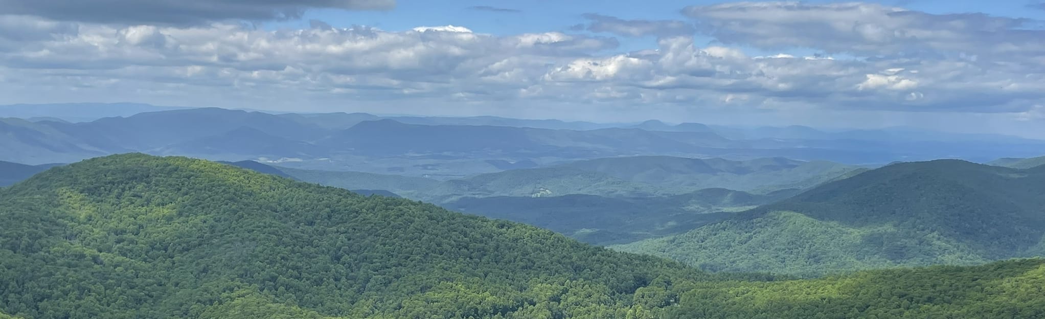 Sharp Top Trail, Virginia - 2,651 Reviews, Map | AllTrails