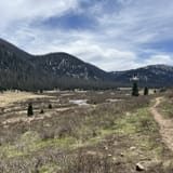 Conejos River Trail, Colorado - 36 Reviews, Map | AllTrails