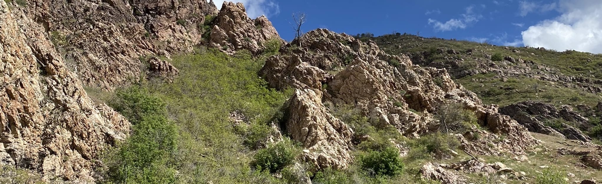 Cascade Springs Waterfall, Utah - 8 Reviews, Map | AllTrails