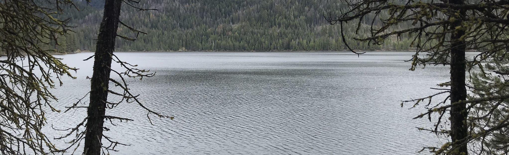 Sage Hen Reservoir Trail, 21 Fotos - Idaho | AllTrails