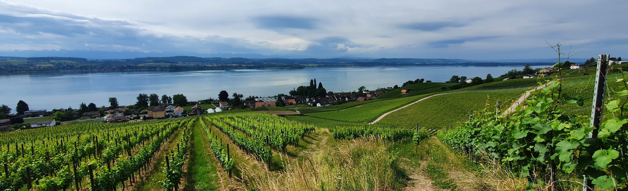 Historical Trail of Mont-Vully, Fribourg, Switzerland - 61 Reviews, Map ...