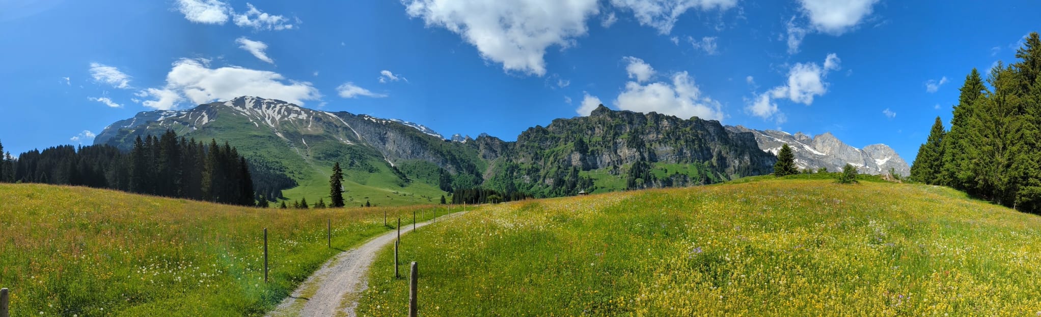 Gerschnialp - Trauboden via Engelberg, Obwalden, Switzerland - 32 ...
