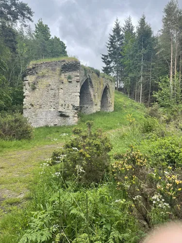 10 Best Walking Trails in Hexham | AllTrails