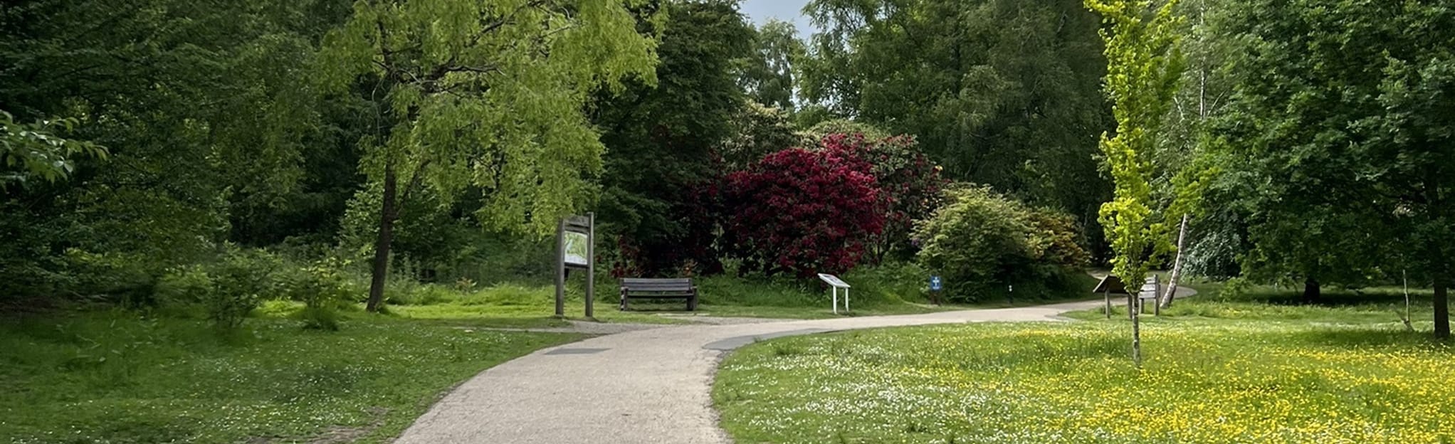 Tilgate Forest Circular: 37 foto's - West Sussex, Engeland | AllTrails