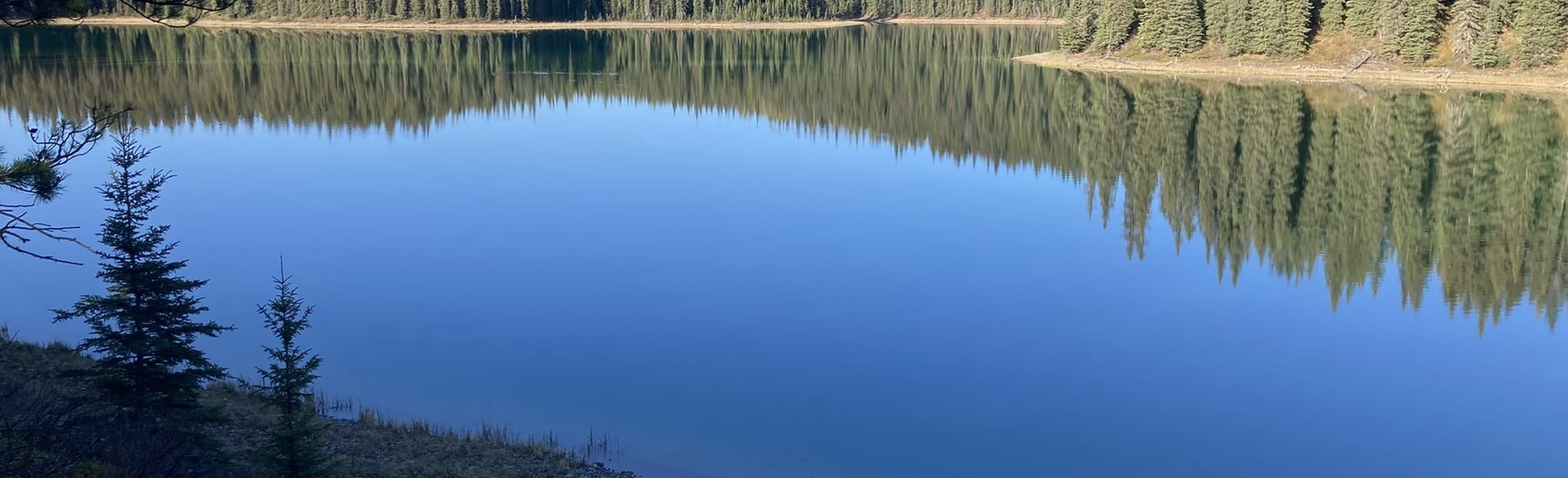 Beaver Ranch Trail: 11 Reviews, Map - Alberta, Canada | AllTrails