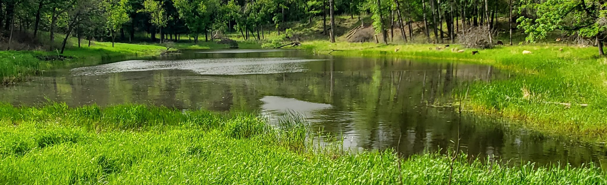 Big Bluestem Trail : 135 Reviews, Map - Minnesota | AllTrails