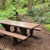 Valley of the Giants Trail [CLOSED], Oregon - 141 Reviews, Map | AllTrails