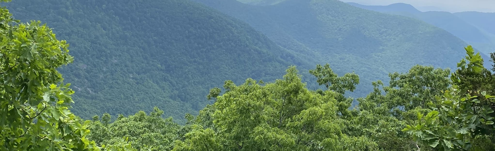 Appalachian Trail: Tesnatee Gap to Cow Rock Mountain, Georgia - 677 ...