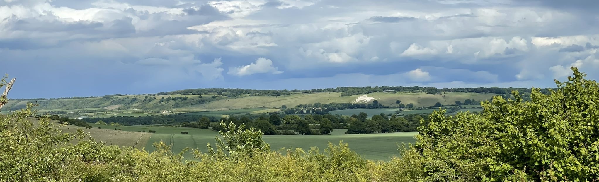 Ashridge Boundary Trail, Buckinghamshire, England - 203 Reviews, Map ...