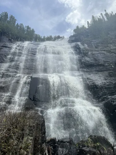 2023 Best Wild Flowers Trails in Greenstone | AllTrails