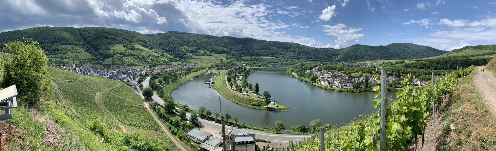 Von Mesenich entlang der Mosel, Rhineland-Palatine, Germany - Map ...