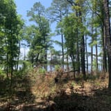 Neusiok Trail Northern Half, North Carolina - 151 Reviews, Map | AllTrails