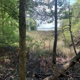 Neusiok Trail Northern Half, North Carolina - 151 Reviews, Map | AllTrails