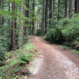 Rohner Park Loop, California - 217 Reviews, Map | AllTrails