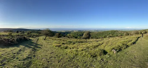 10 Best Hikes and Trails in Quantock Hills National Landscape (AONB ...