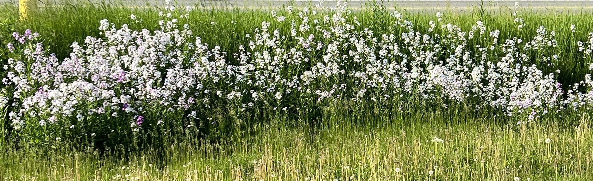 Bill Teron Park Loop: 45 Reviews, Map - Ontario, Canada | AllTrails