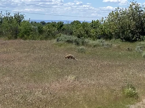 Best Hikes and Trails in Arthur C. Rempel Nature Area | AllTrails