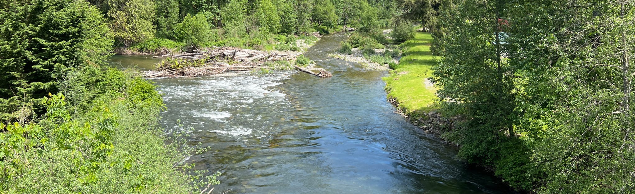 Cedar River, Washington - 132 Reviews, Map | AllTrails