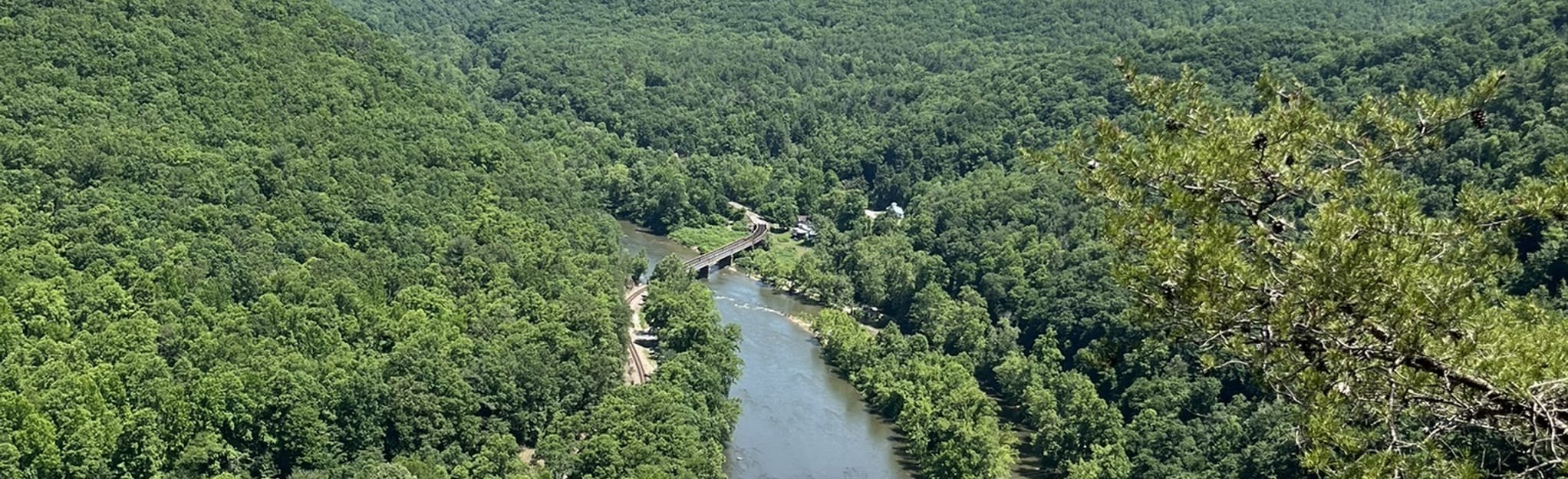 Nolichucky Ridge Cliff via Appalachian Trail - Tennessee | AllTrails