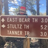 Stultz Trail, Colorado - 121 Reviews, Map | AllTrails
