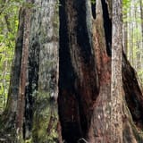 Sand Point Trail, Washington - 279 Reviews, Map | AllTrails