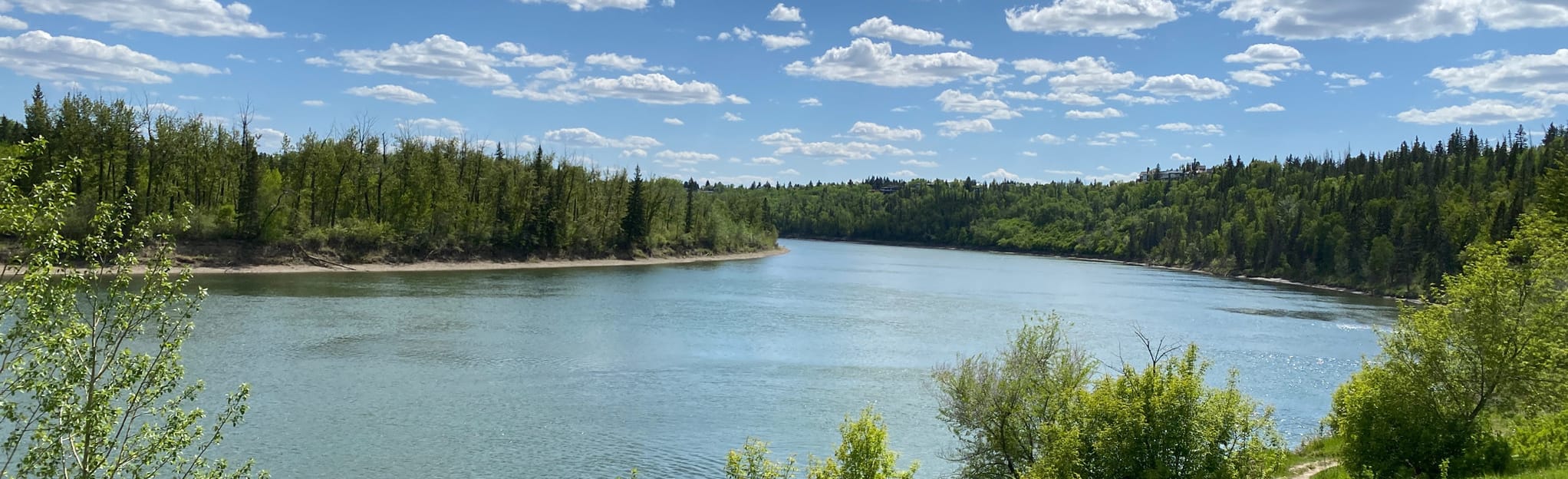 MacKinnon Ravine, Alberta, Canada - 510 Reviews, Map | AllTrails