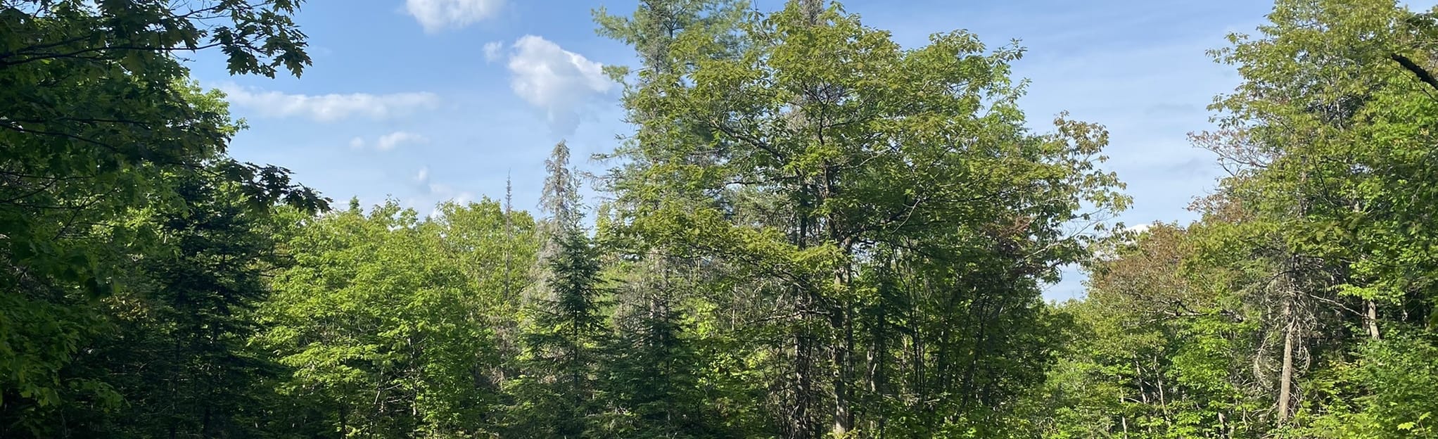 Canadore Nipissing Loop: 9 Reviews, Map - Ontario, Canada | AllTrails