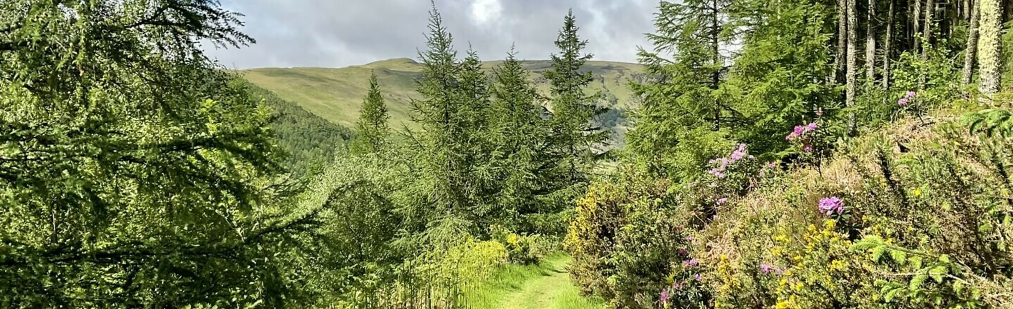 Glen Rosa Falls and Blue Pool, North Ayrshire, Scotland - 25 Reviews ...