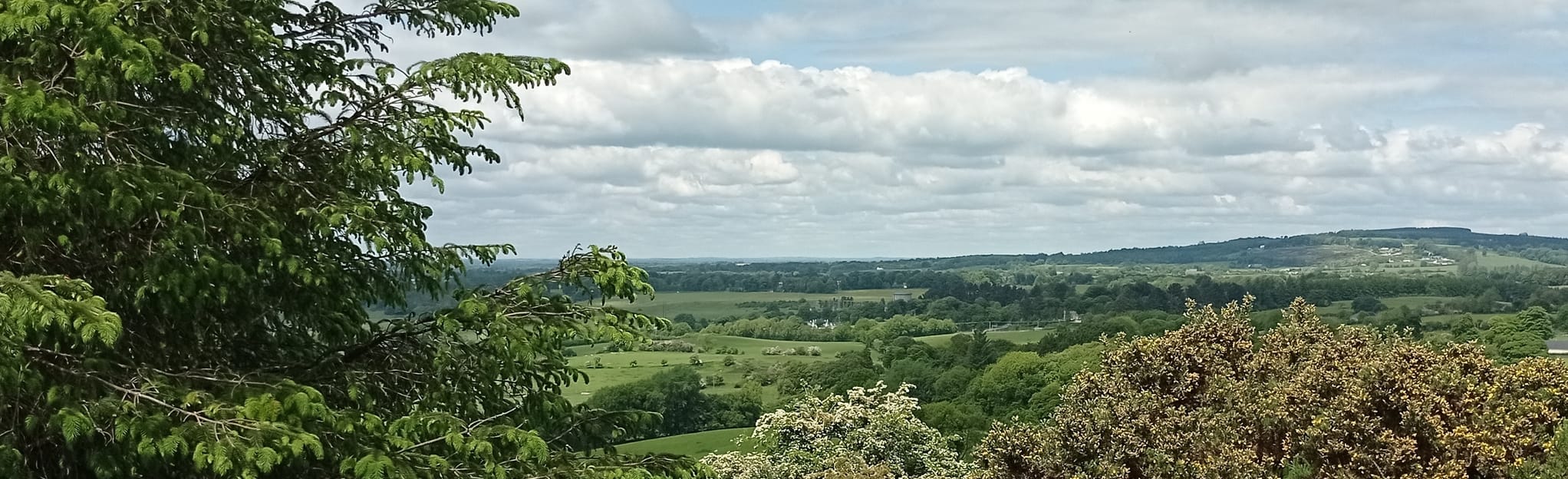 Hollywood Forest Loop: 42 Fotos - County Wicklow, República da Irlanda ...