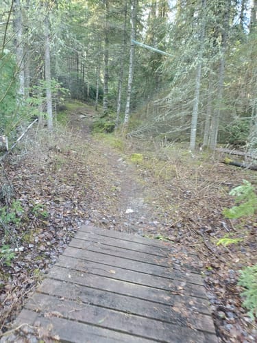 Best Hikes and Trails in Aaron Provincial Park | AllTrails