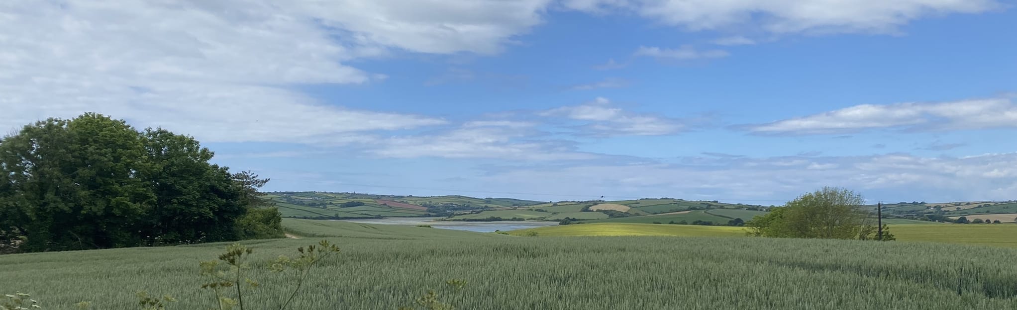 Frogmore - West Charleton Circular, Devon, England - 13 Reviews, Map ...