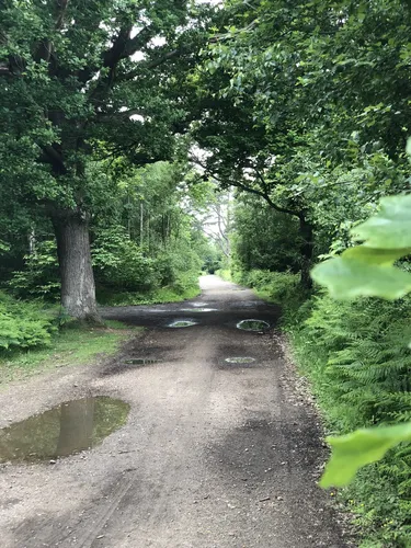 10 Best Mountain Biking Trails in Kent | AllTrails