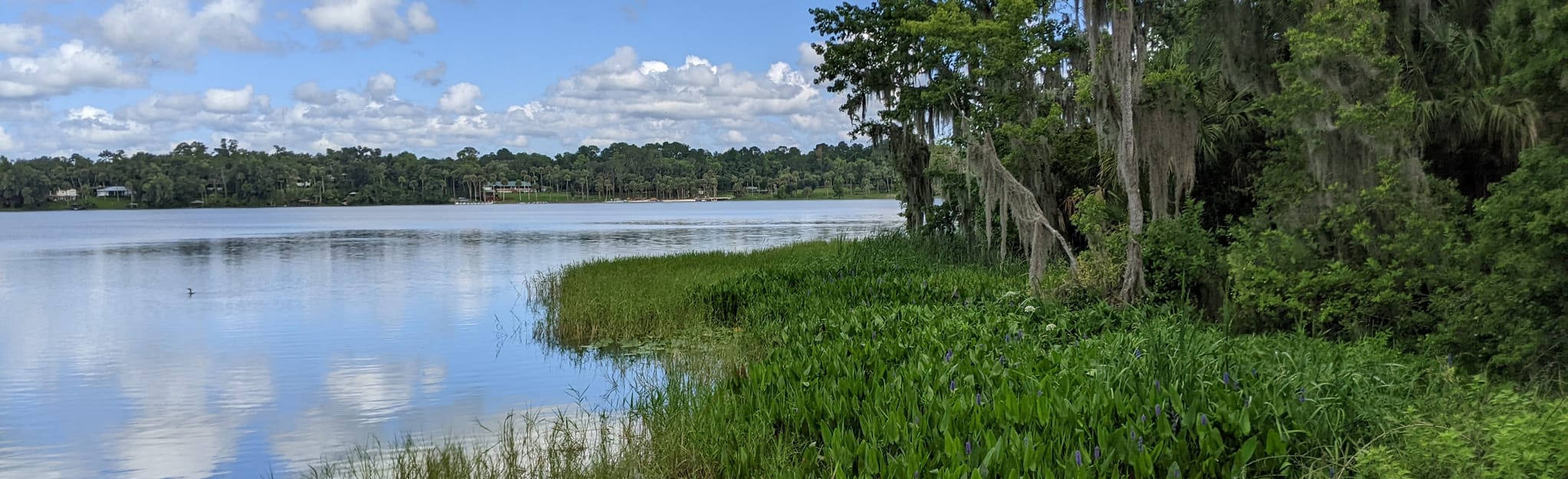 Paynes Prairie Preserve Lake Trail, Florida - 133 Reviews, Map | AllTrails