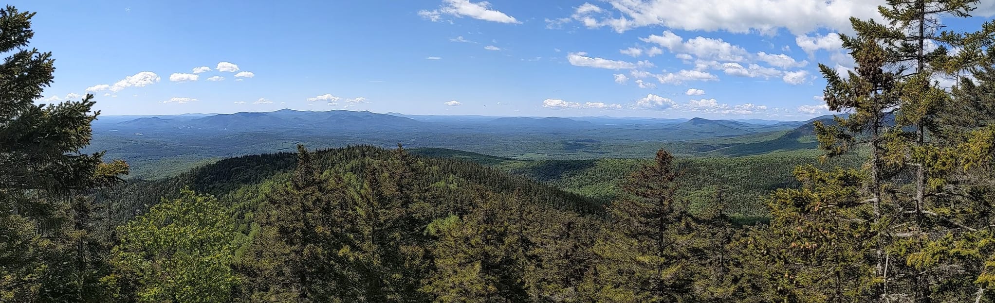Mount Paugus via Bolles Trail: 123 Reviews, Map - New Hampshire | AllTrails