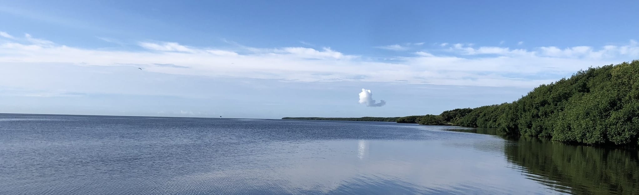 The People’s Dock at Deering Estate | Map, Guide - Florida | AllTrails