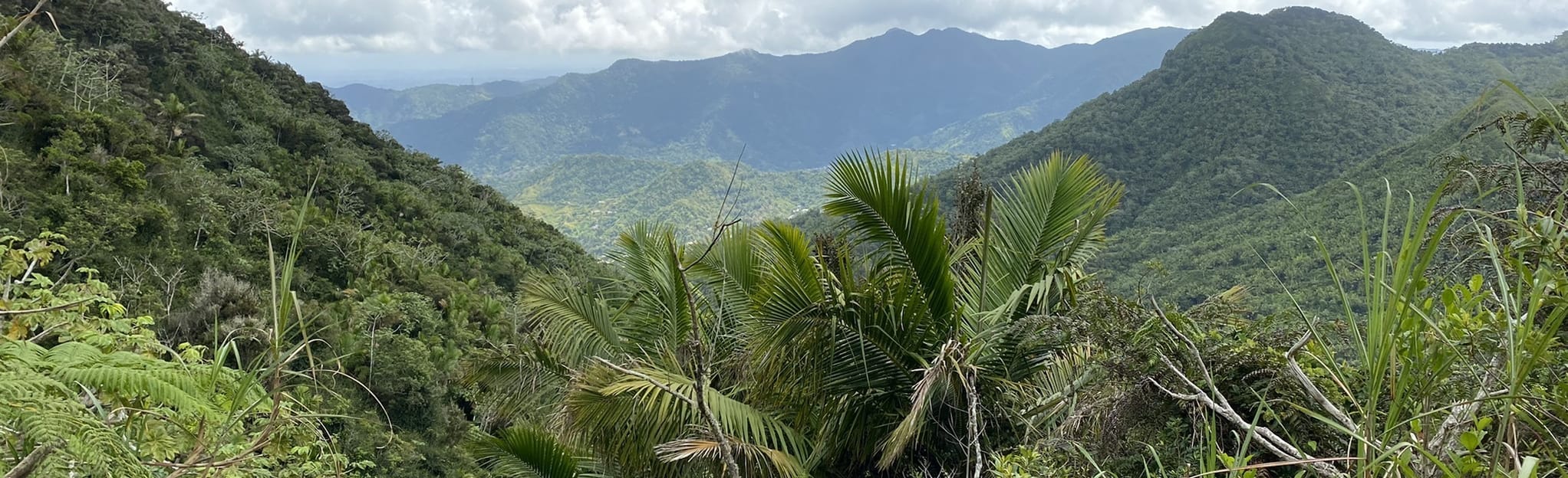 Cerro de Punta, Central Region, Puerto Rico - 95 Reviews, Map | AllTrails