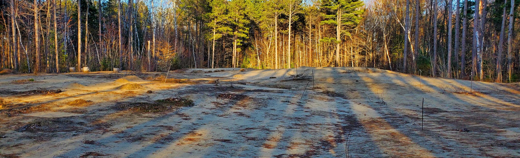 Pinhey Forest South Loop | Map, Guide - Ontario, Canada | AllTrails