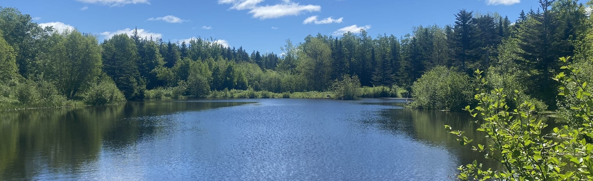 The Wolf Trail: 3 Reviews, Map - Nova Scotia, Canada | AllTrails