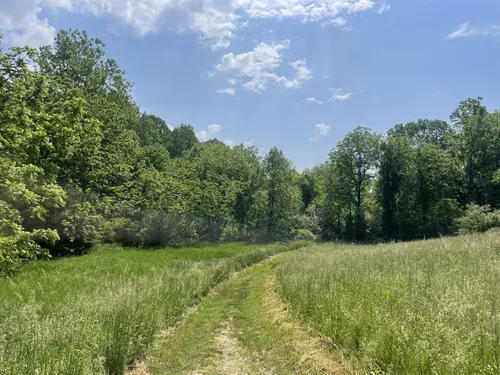Best Hikes and Trails in Natural Lands' ChesLen Preserve | AllTrails