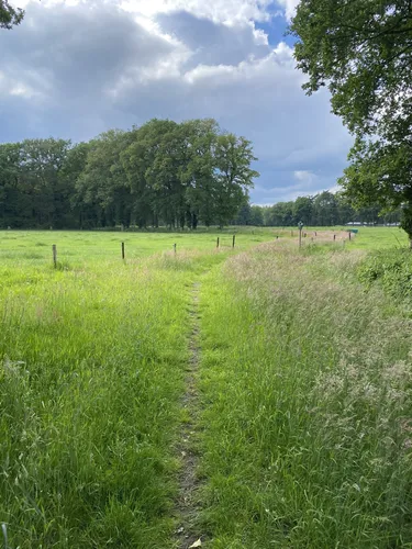 10 Best River Trails in Vecht- en Beneden-Reggegebied | AllTrails