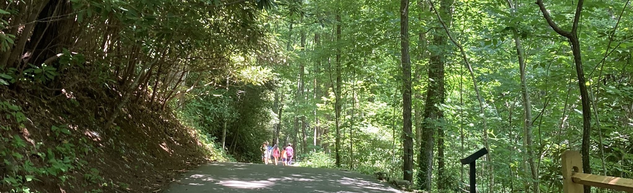 Lion's Eye Trail: 10 Reviews, Map - Georgia | AllTrails