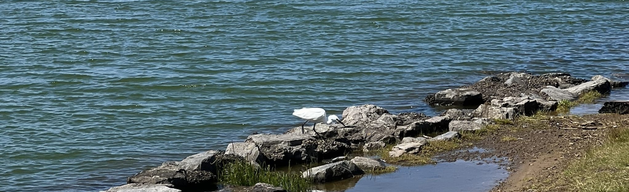 Crosby Beach Walk, Merseyside, England - 70 Reviews, Map | AllTrails