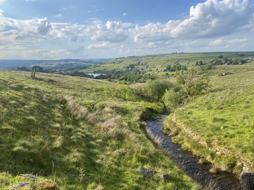 2023 Best 10 Walking Trails in Haworth | AllTrails