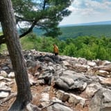 Jackson Trail, Pennsylvania - 196 Reviews, Map | AllTrails